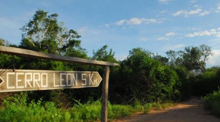 Diario HOY | Seam dice que no se pondrá en peligro el Cerro León