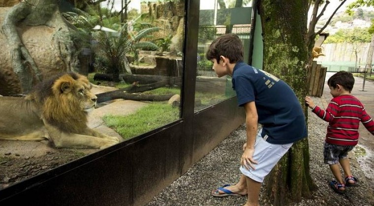 Diario HOY | Transforman al zoológico de Río en el primer parque de ...