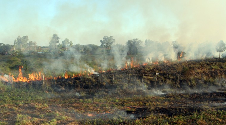 Diario HOY | “Las quemas controladas no funcionan, el suelo queda ...
