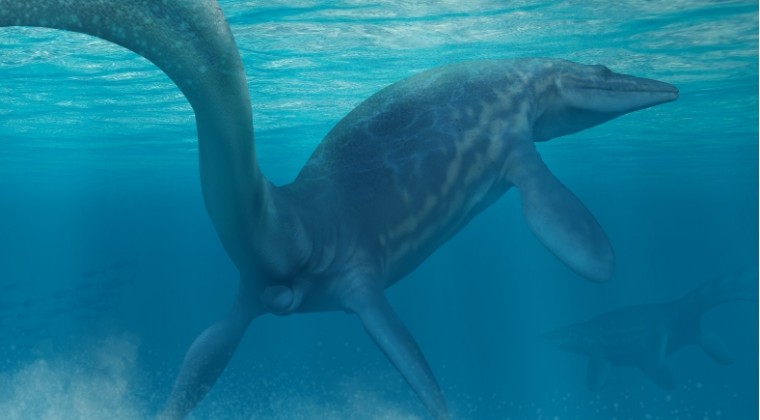 Diario HOY | Descubren en Chile un nuevo mosasaurio que vivió hace 66 ...